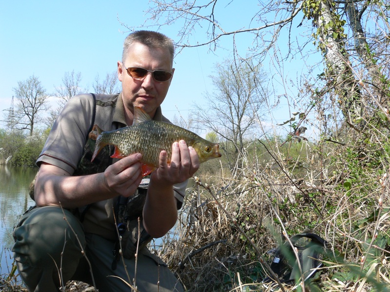 Croatia Fishing: Varalicom na crvenperku