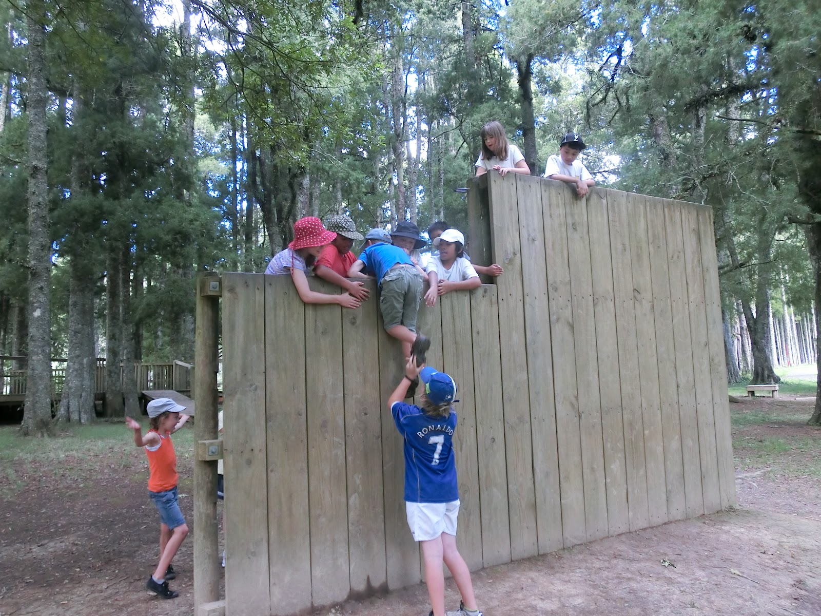 ROYAL OAK PRIMARY- Senior Team: Camp Capers