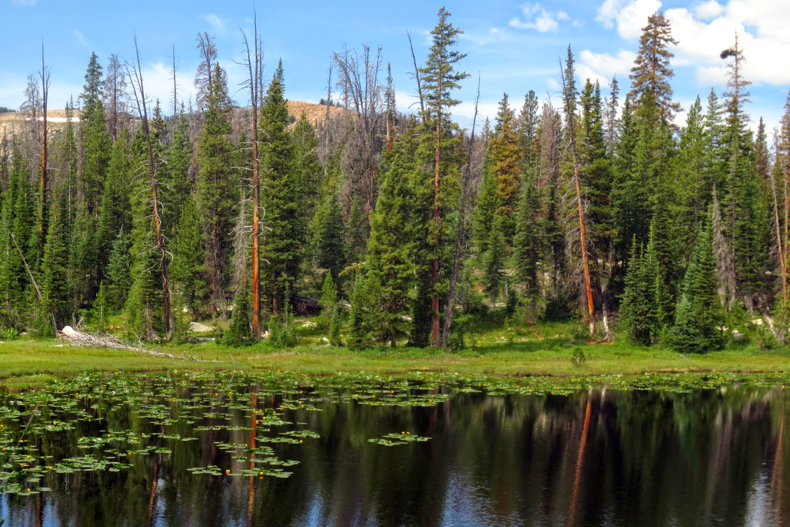 wasatch and beyond: Provo River Falls and Trial Lake