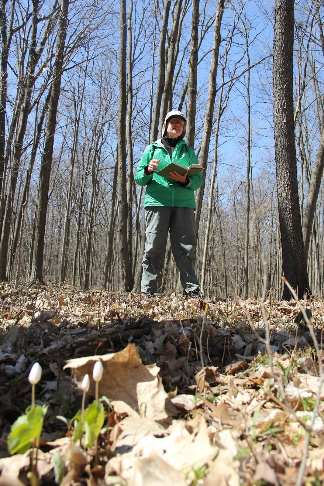 Isabella Conservation District Environmental Education Program ...