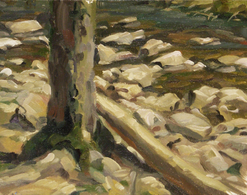 Christopher Greco: River Rocks - Rocky River, Metro Park, Tree, Spring ...