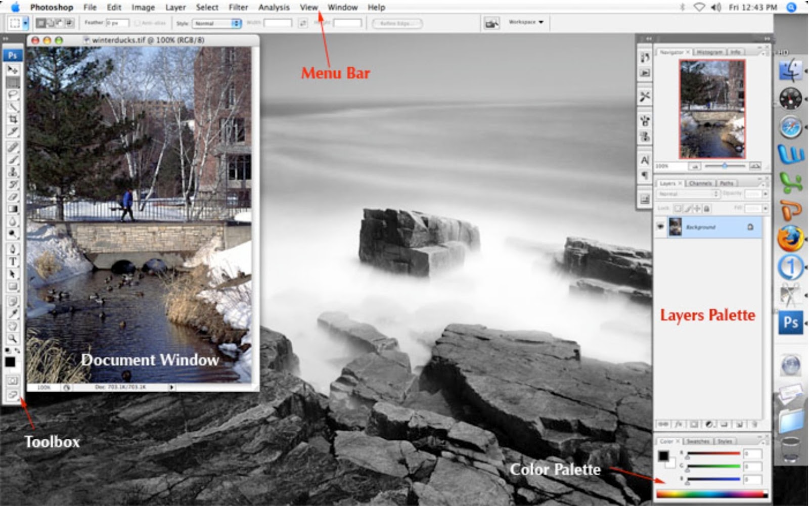 COMPUTER STUFF: adobe photoshop complete handout