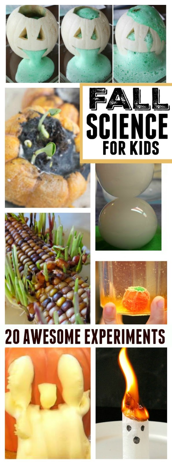 Fall Science For Kids Growing A Jeweled Rose fall-science-for-kids-growing-a-jeweled-rose