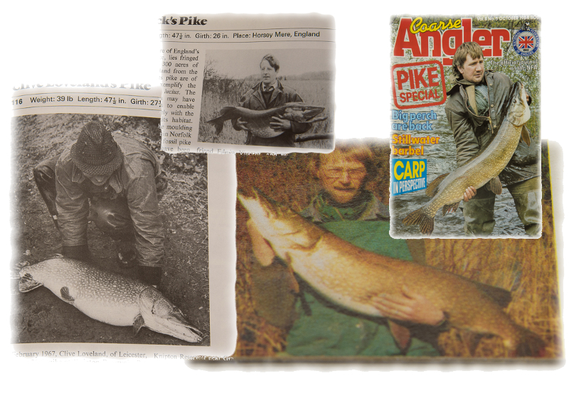 The Pike Pool: Full Circle