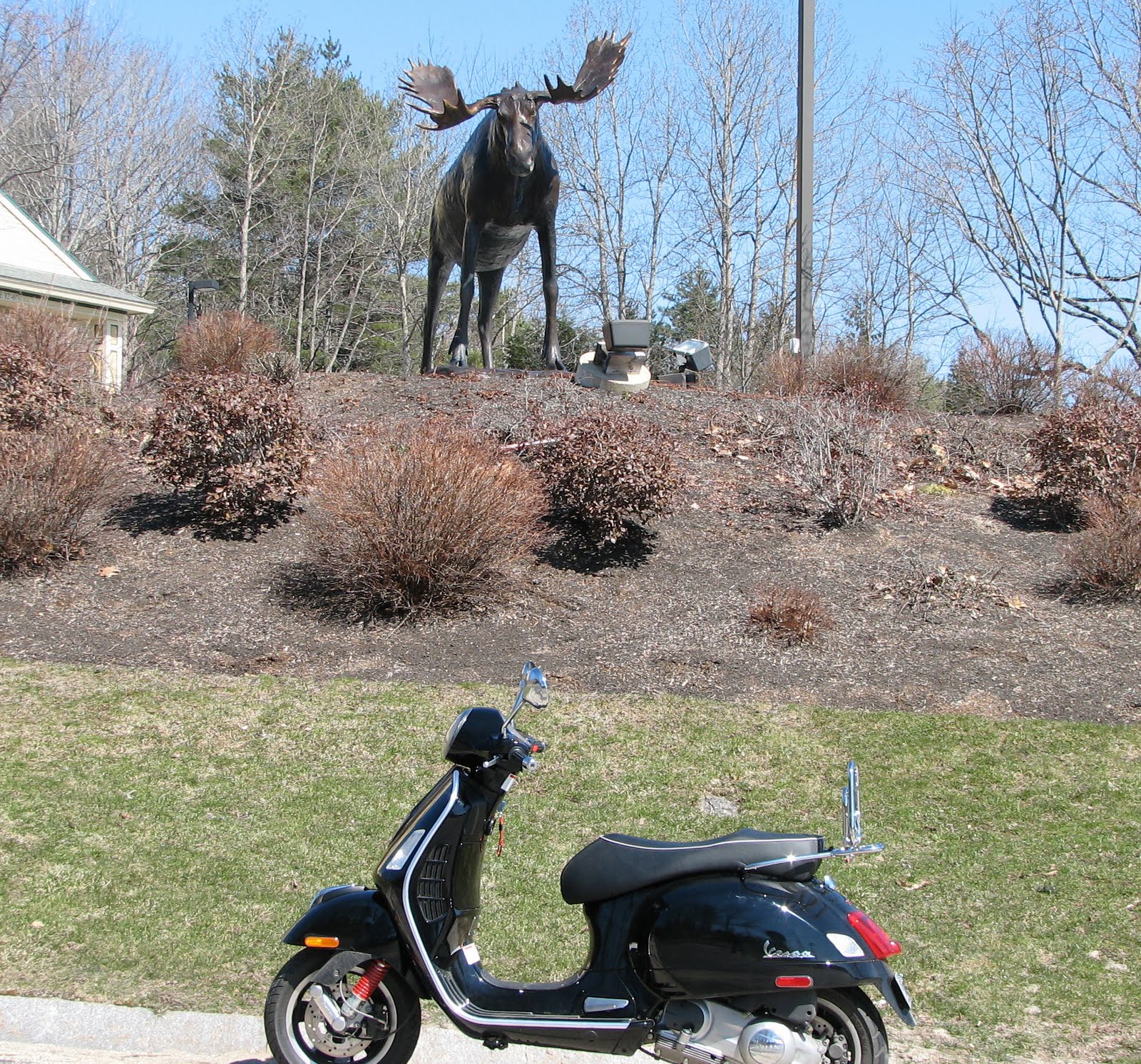Scooter by the Sea: Motorcycle License