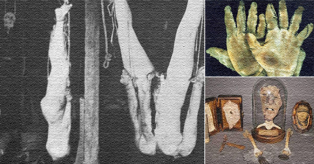 A Man Who Made Out of Human Skin and Bone for Furniture | StruggleMore