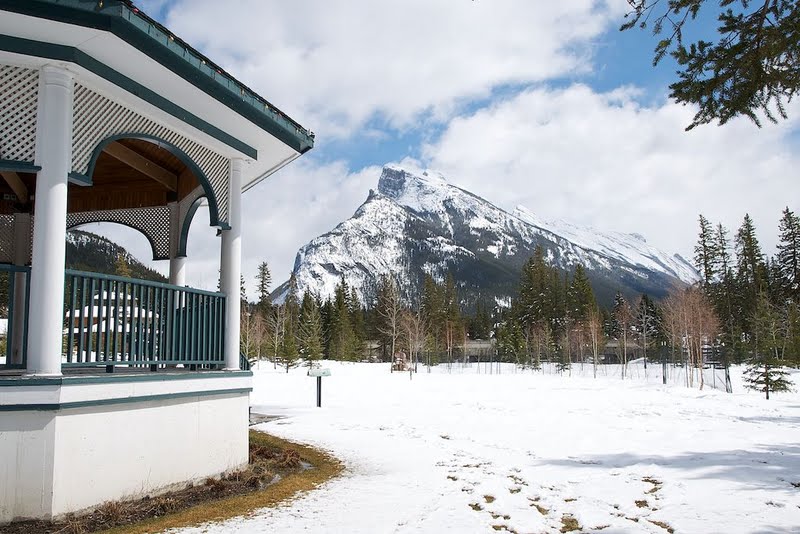 Alpine Peak Photography: Banff Wedding Photographer - Sharla & Greg ...