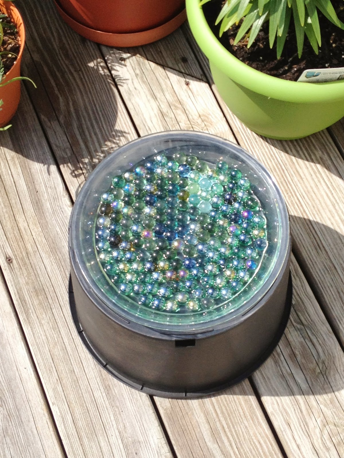 Bonz Blogz: Bee Water Station