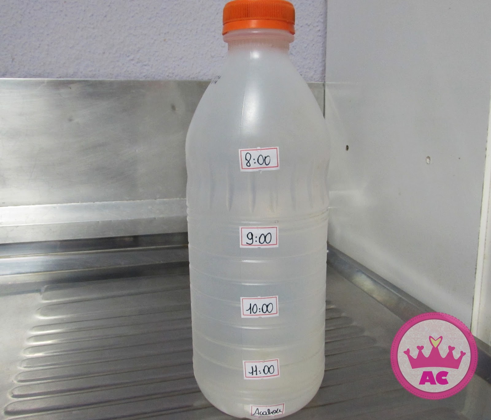 2 litros de água por dia - Ale Canofre