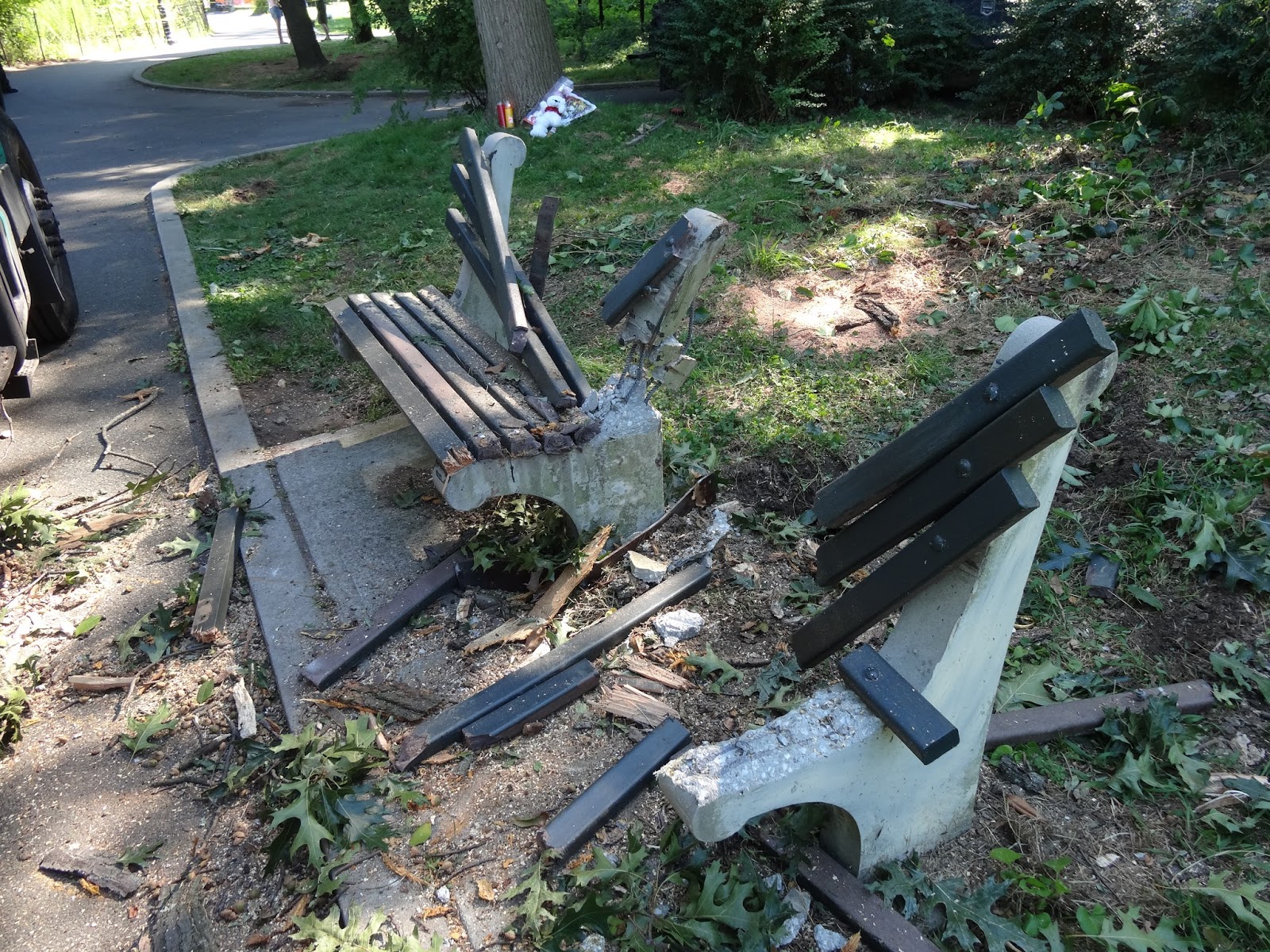 A Walk in the Park: City Removes Destroyed Bench In Deadly Tree ...
