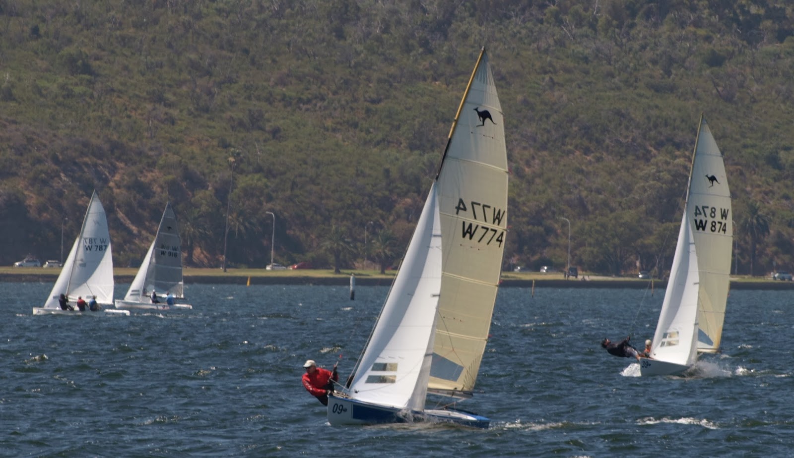 Observations in an undemocratic world: Australian Lightweight Sharpie ...