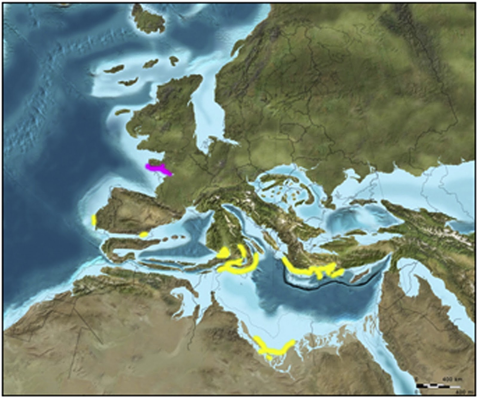 The Dragon's Tales: Extinction of Sirenia of Europe and North Africa