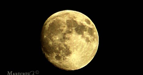 Zensible Mama: Astrophotography: Summer Solstice Moon