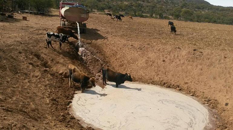 ASOCIACION ECOLOGISTA RIO MOCORETA: SEQUÍA SIGUE AFECTANDO A ZONAS DE ...