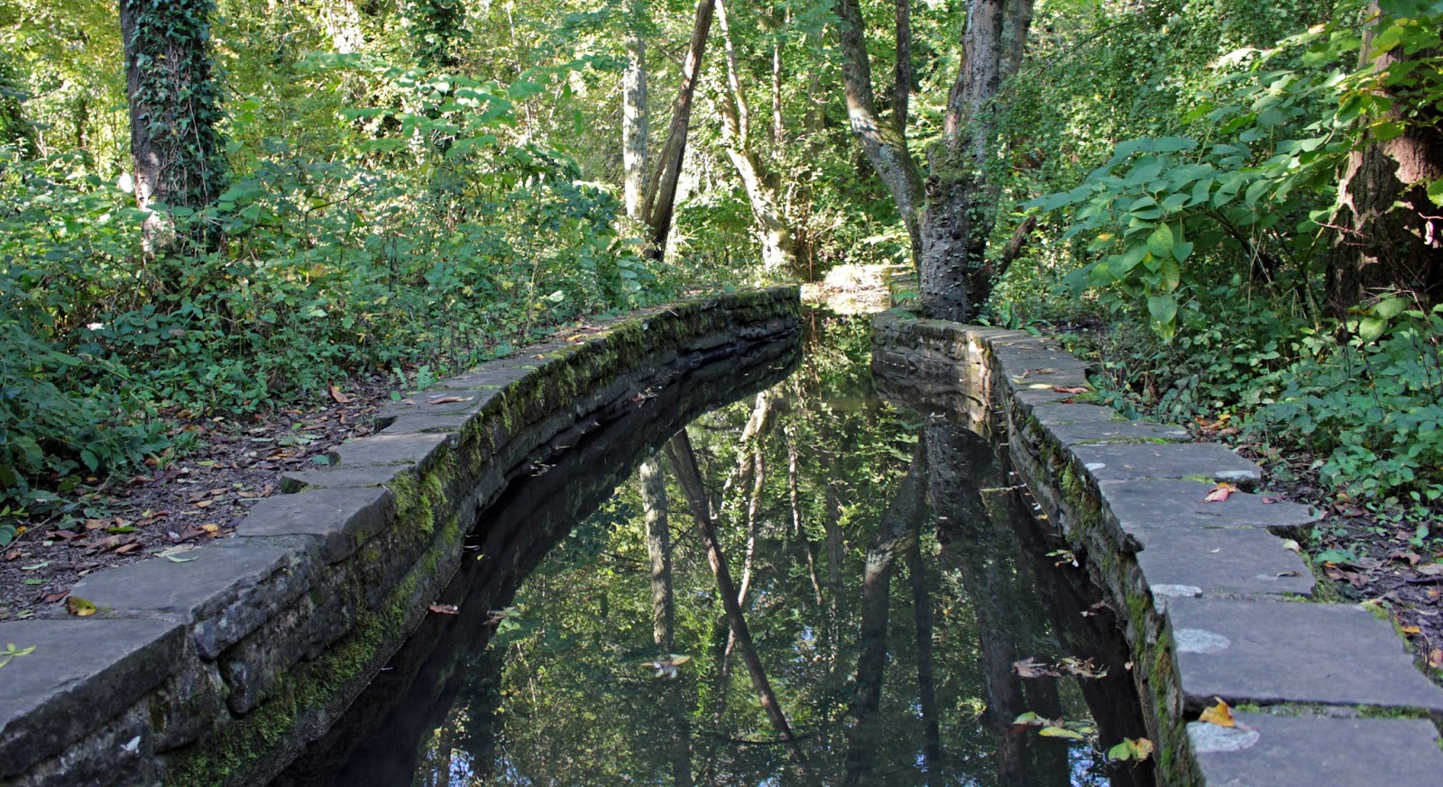 sconzani: Cardiff walks: Forest Farm Nature Reserve
