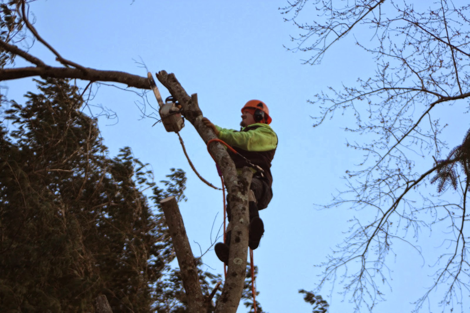 East Coast Styler : Wood Log Mounted Deer Antlers idea