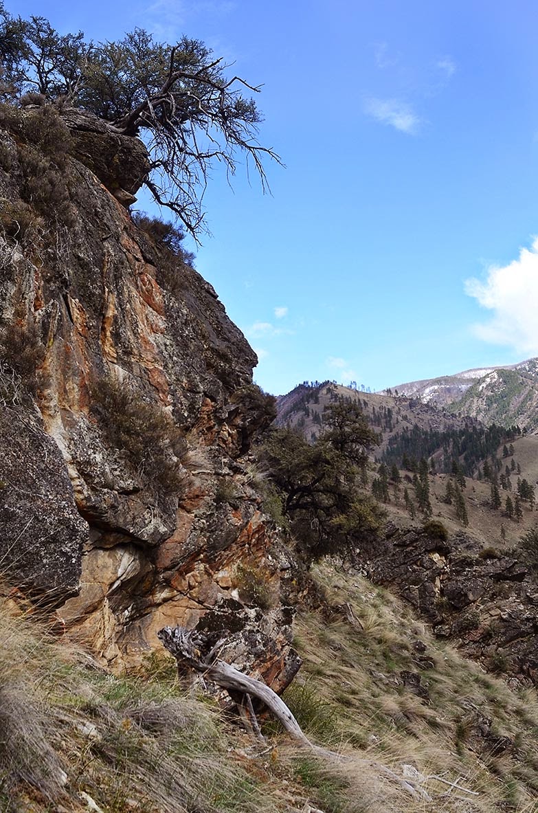 Shane Minton photography