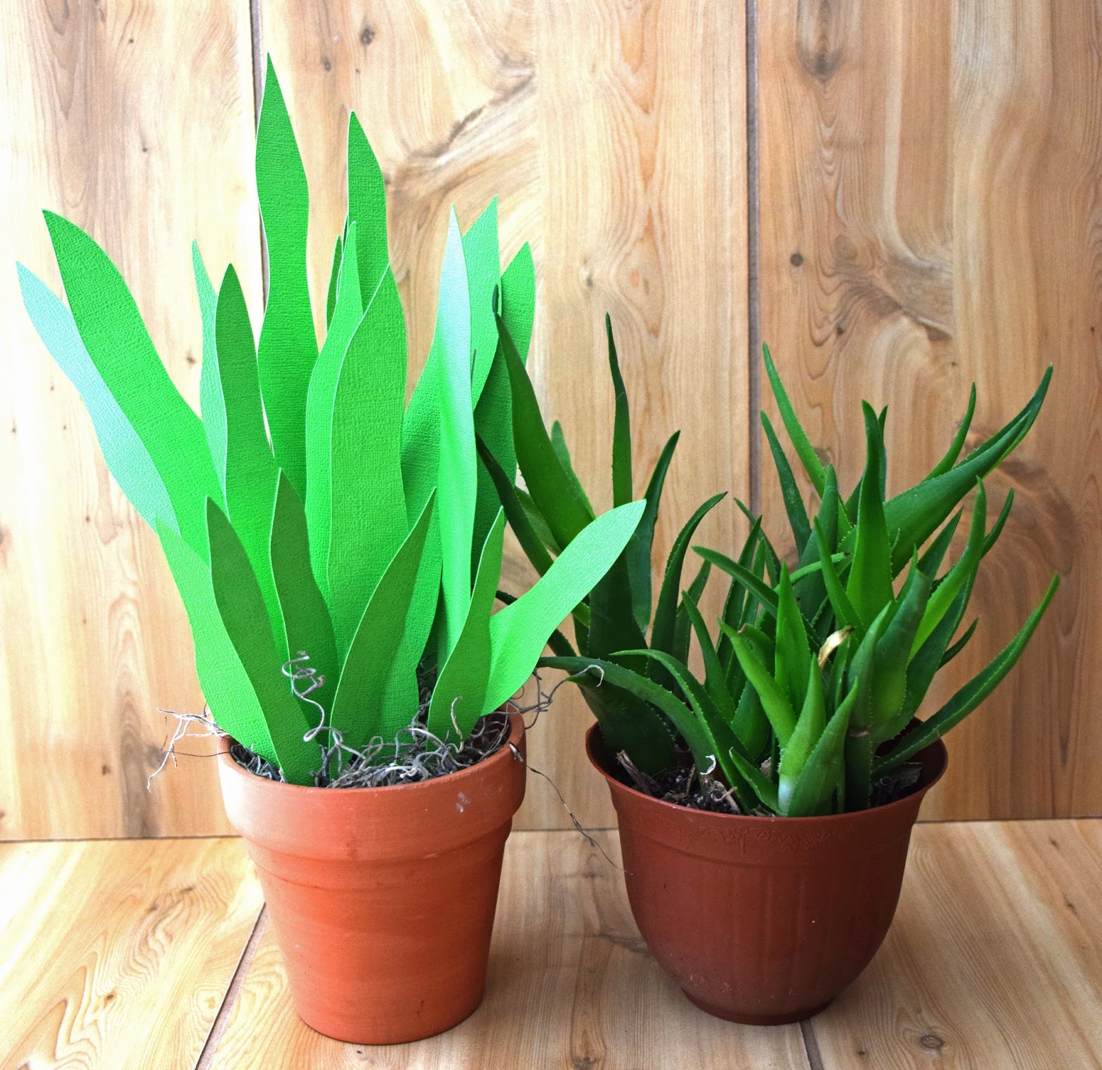 Doodlebug Design Inc Blog: Cardstock Challenge - Paper Succulents by ...