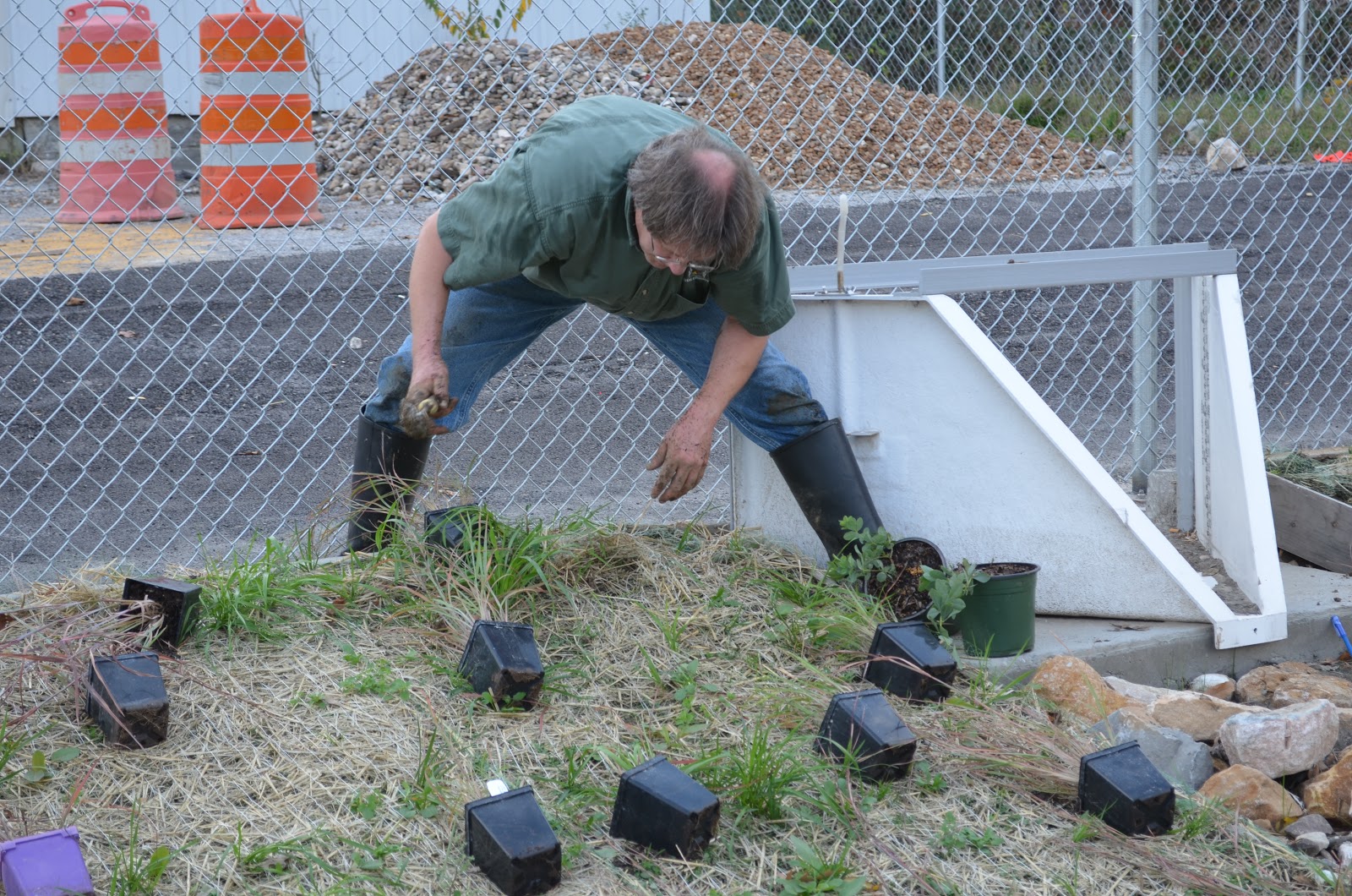 GoColumbiaMO Stormwater Utility: 319 Grant - Planting the Bioretention ...