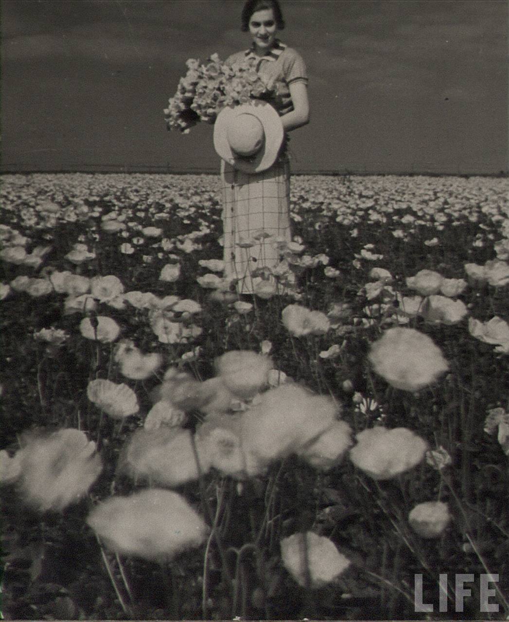 75 Vintage Snapshots That Show What Summer Fun Looked Like From Between ...