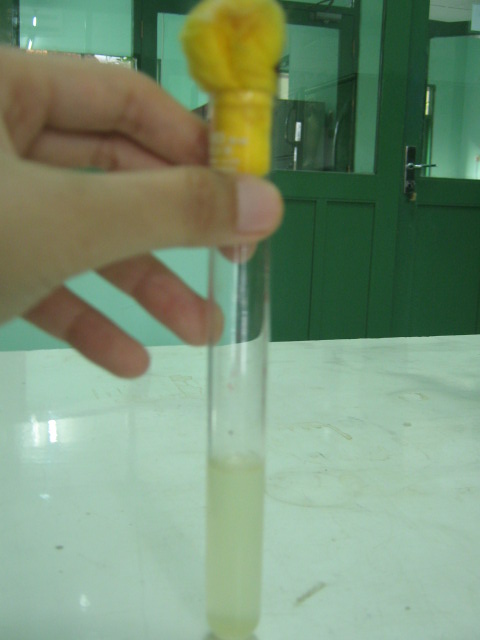 Media Pertumbuhan (Buatan) Mikrobiologi - Mydokterhewan