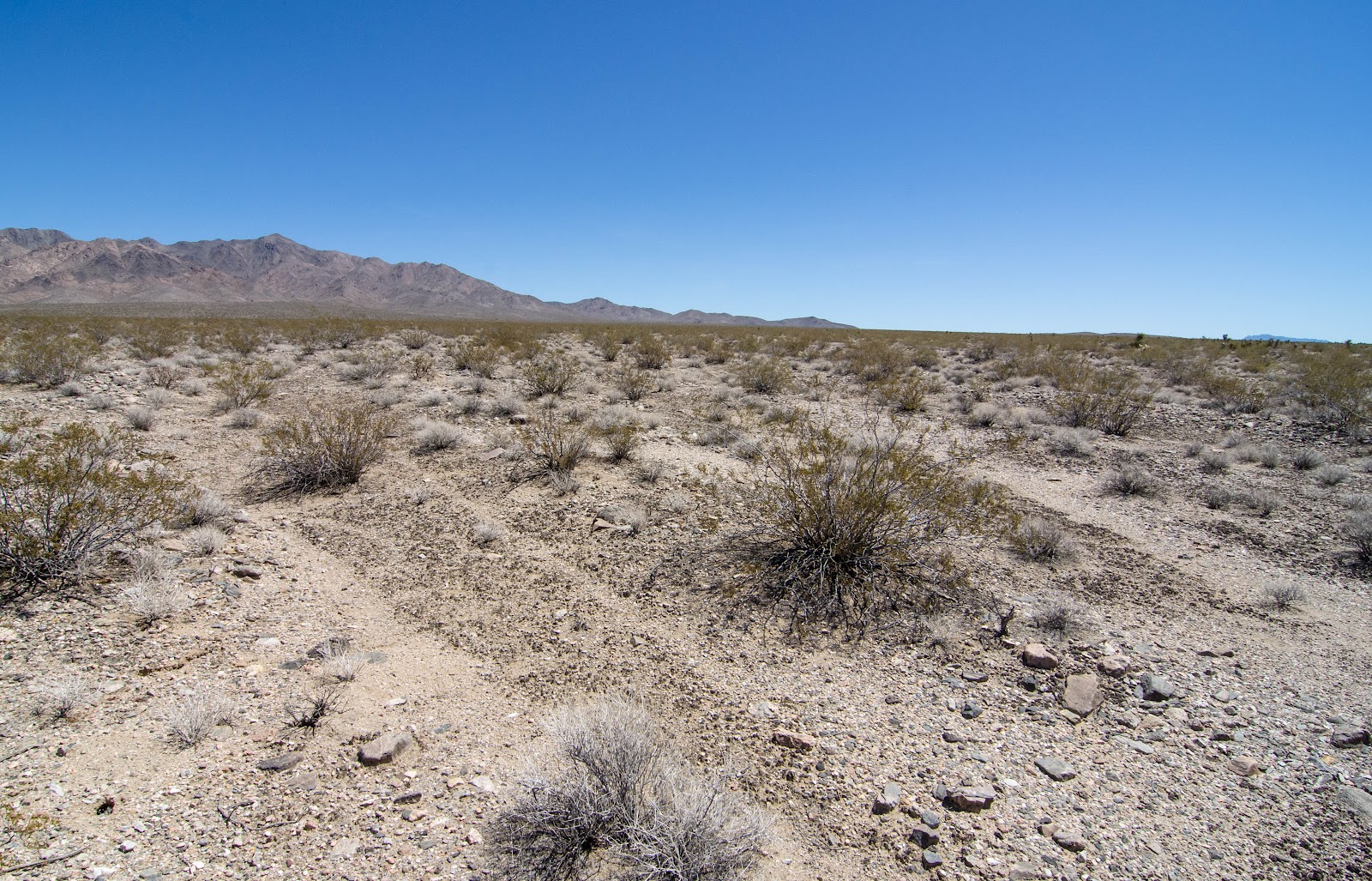 Respect the Soil Crust