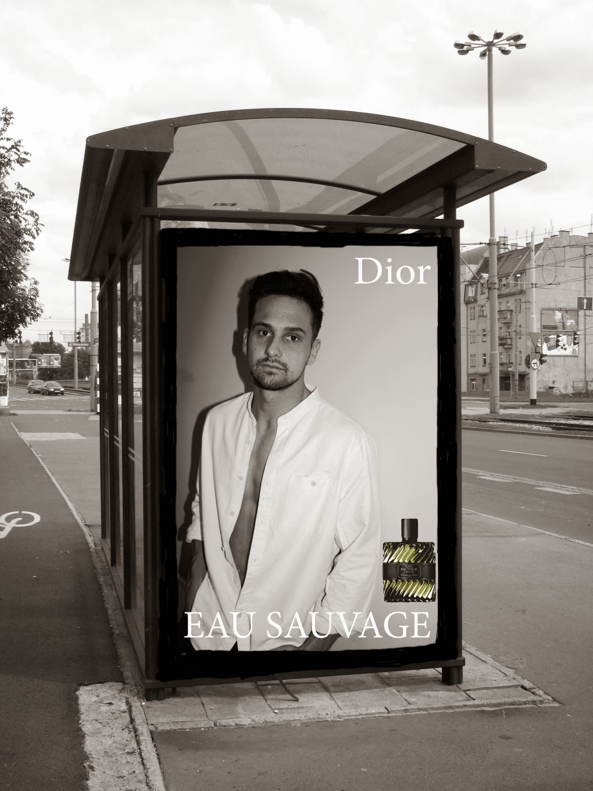Dior: Billboard Poster and Magazine Dis
