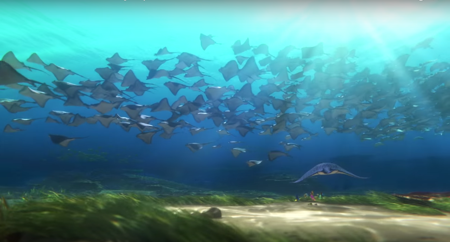 Muppets, Monsters, & Magic: Finding Dory Trailer Exclusive on Ellen