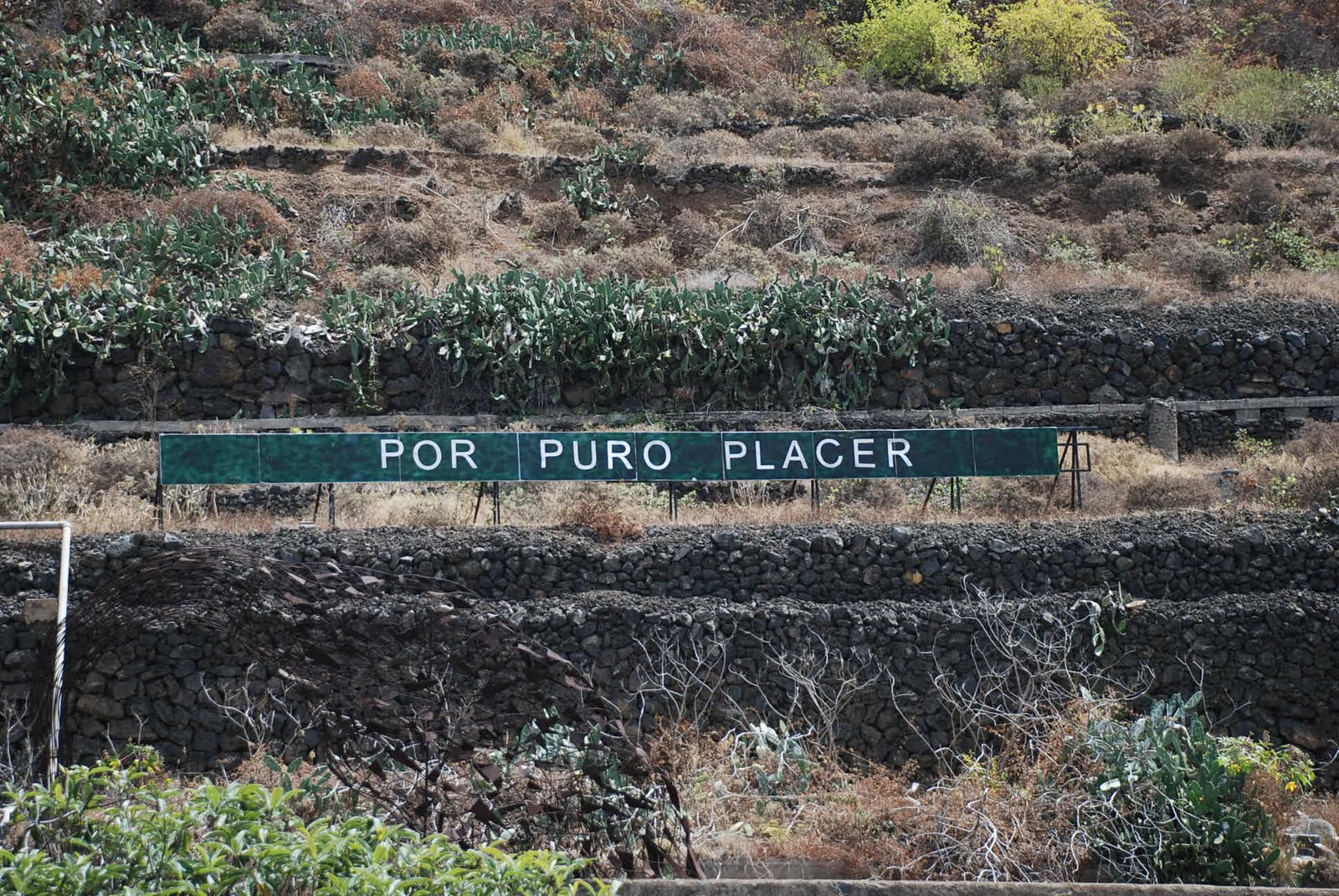 A N O N I M A N: Por Puro Placer