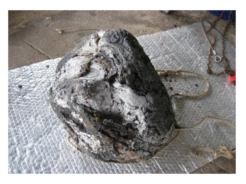 Indonesian Ambergris: Mengenal Ambergris