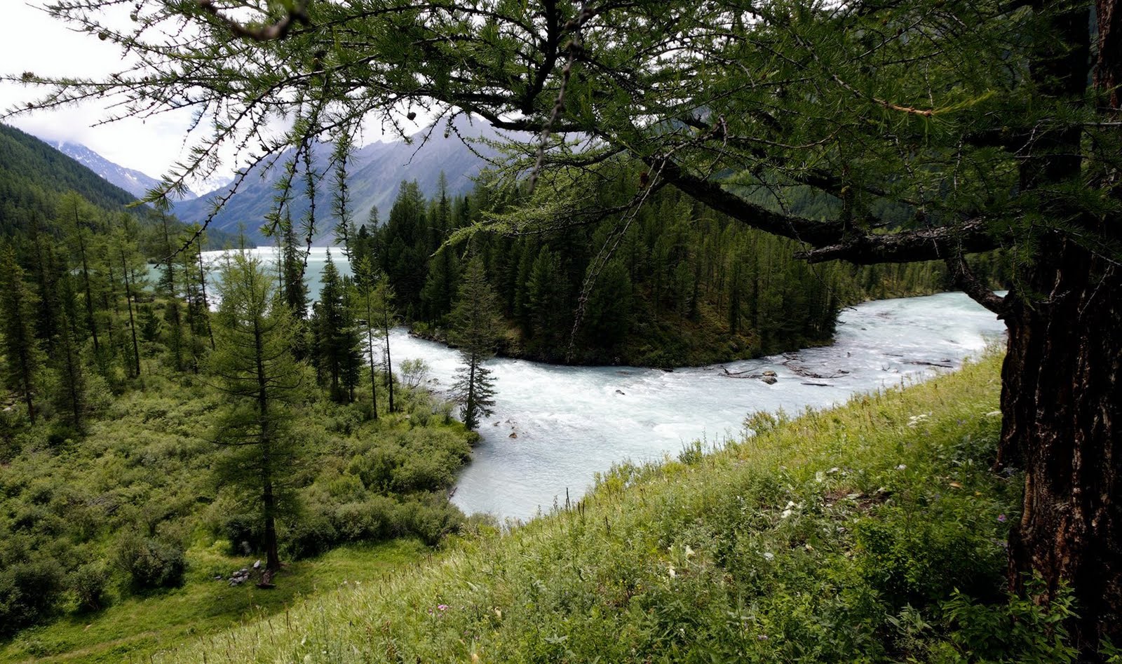 HD WALLPAPER: Nature HQ Wallpaper Set 5