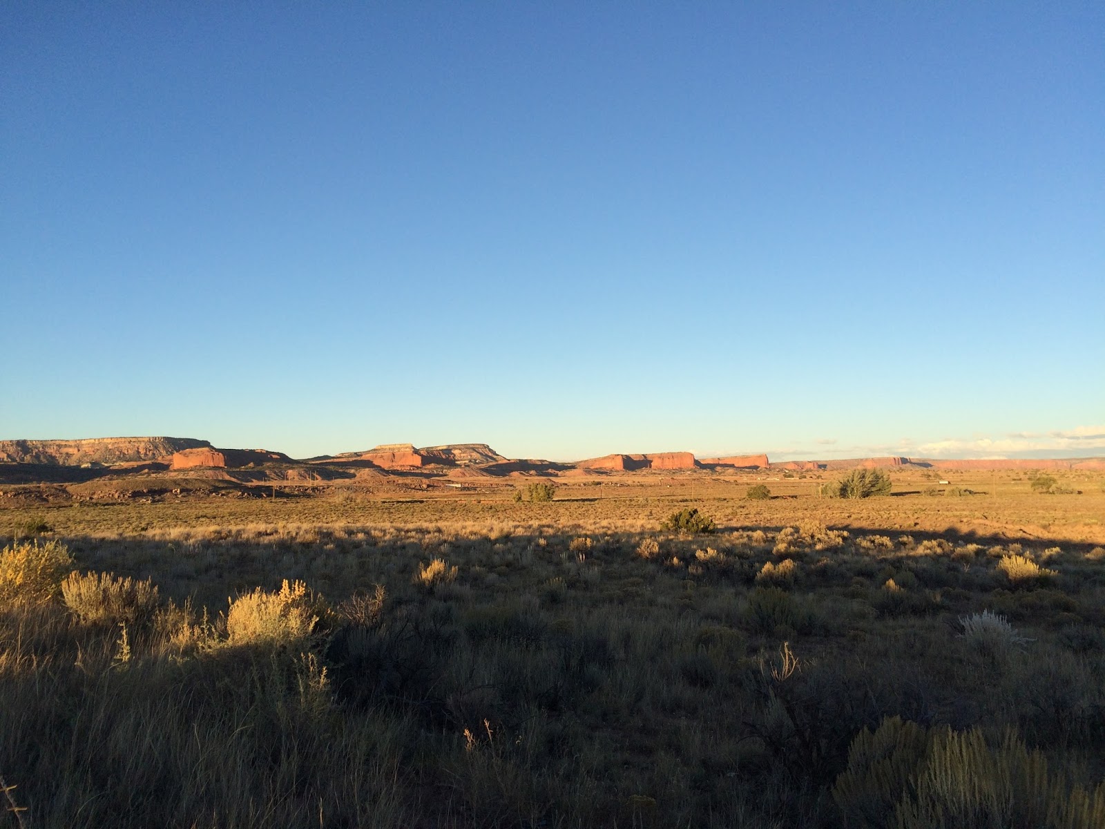 Mountain Biking the Zuni Mountains