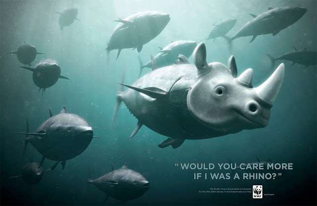 WWF Bluefin Tuna Overfishing