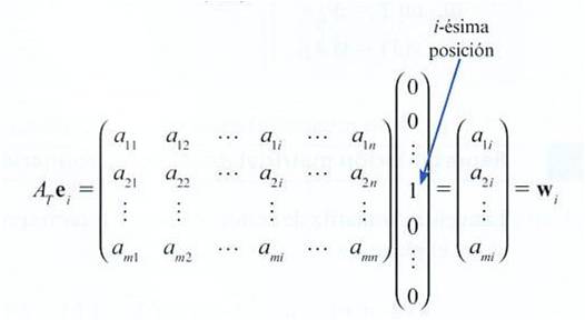 Álgebra Lineal: 5.3 La matriz de una transformación lineal.