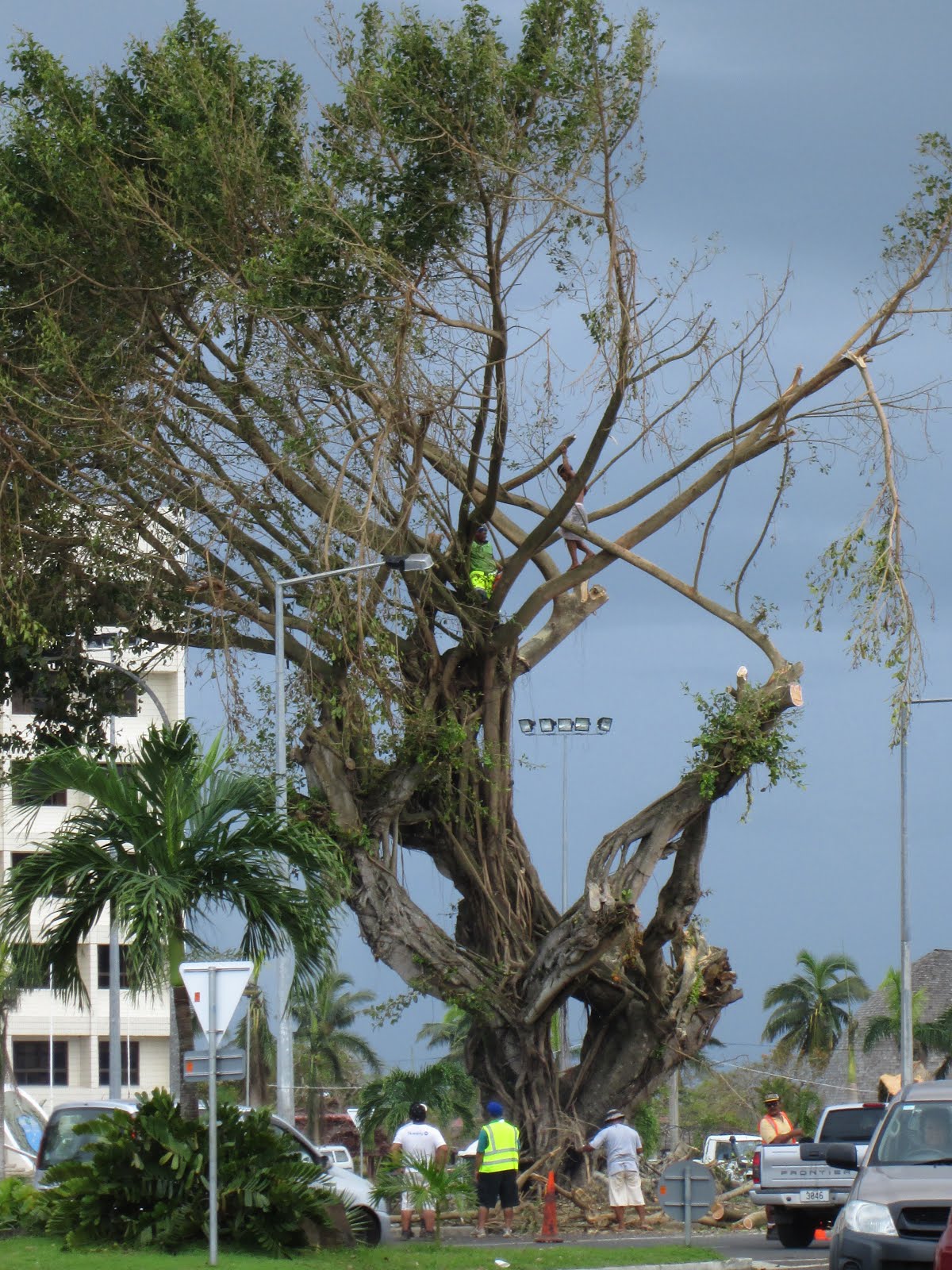 The Samoan Youth Empowerment Initiative: The Next Steps
