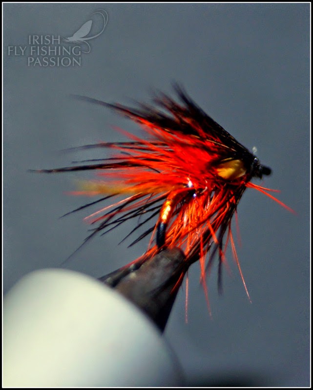Irish fly fishing passion: Kristof - Irish Dabbler Wet Fly variant