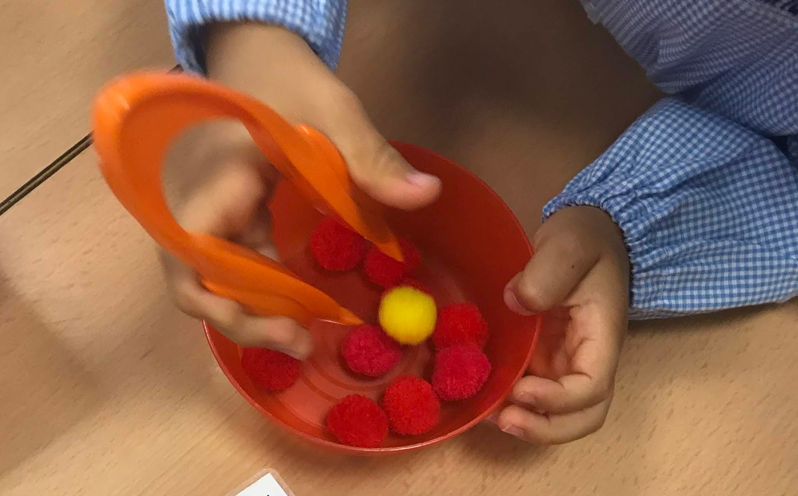 Colorea su mundo: Motricidad Fina