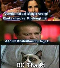 Manhoos Billi Meme On Katrina Kaif And Nawaz Shareef - Funny WallPhotos ...