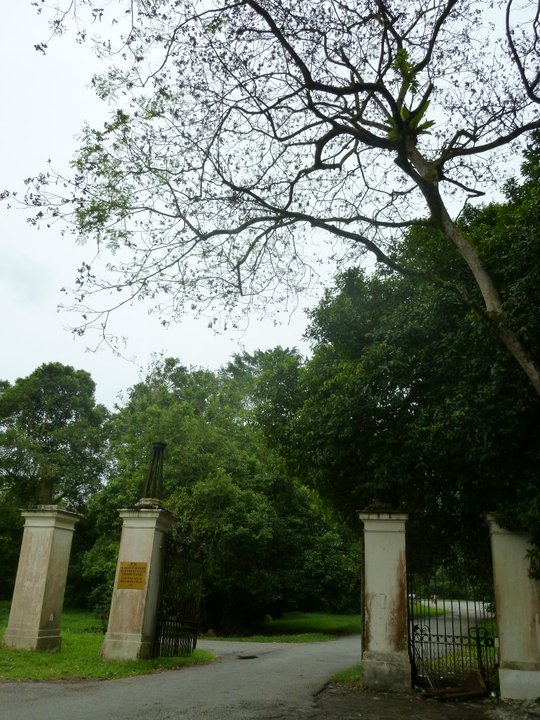 Places: Bukit Brown: a place with a rich heritage and biodiversity