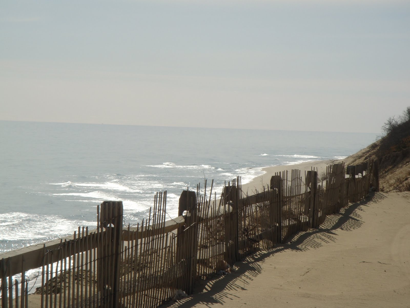 The Lollipop Tree: The Lower Cape - A Day To Remember!