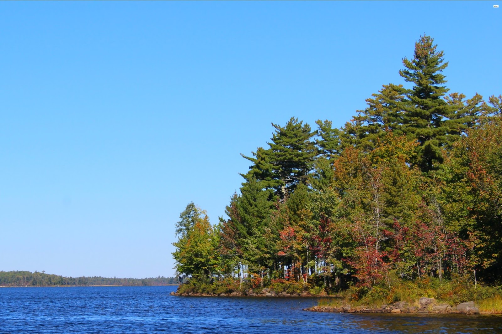 A Drive Through Beautiful Maine and A Lesson To Never Stop Exploring ...