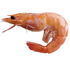 YOTOKUU!!!.: Tip..elak kepala udang berbau busuk!!.