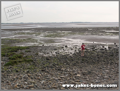 Exploring the shoreline : Jake's Bones