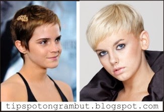 Potongan Rambut Pendek Cewek Yang Bikin Kamu Terlihat Chic | Tips ...