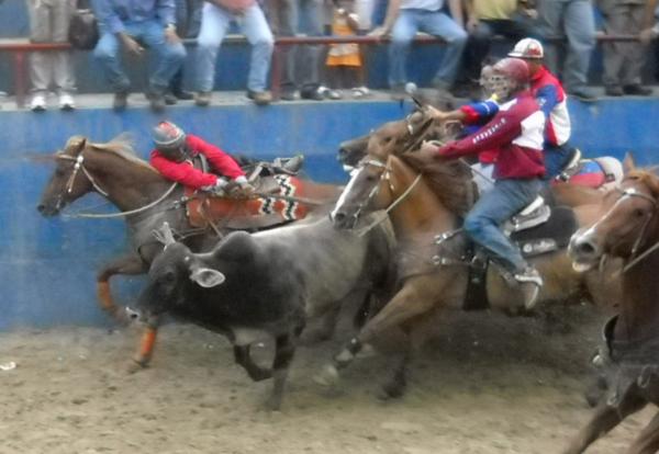 Bejuma realizó sus toros coleados en honor a San Rafael. - Resteado 965fm