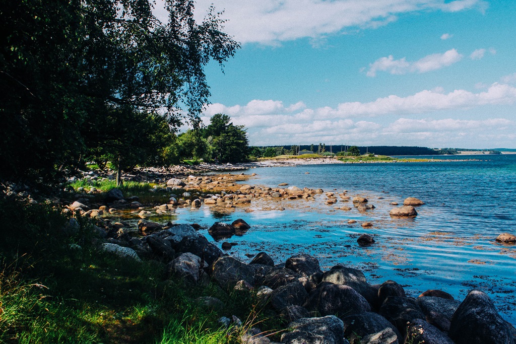 Explore Skåne: A solo day trip to Kivik.