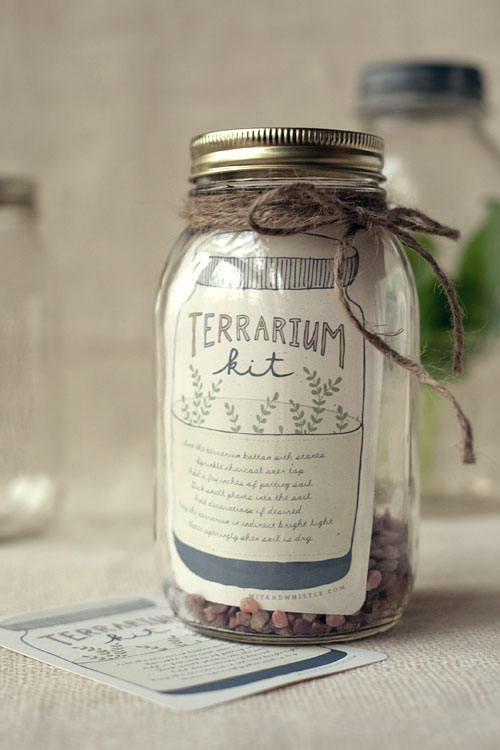 The Fern and Mossery: Gift a DIY Terrarium Kit