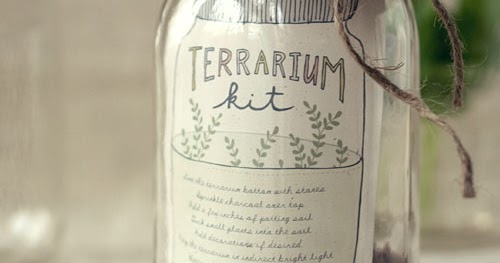 The Fern and Mossery: Gift a DIY Terrarium Kit