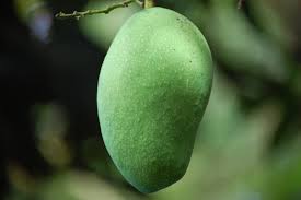 Manfaat Buah Kweni Untuk Kesehatan Tubuh | Jual Beli Aneka Buah Buahan