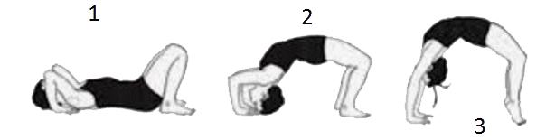 Sikap Kayang: Pengertian, Teknik Dasar, dan Cara Melakukannya - PENJASORKES